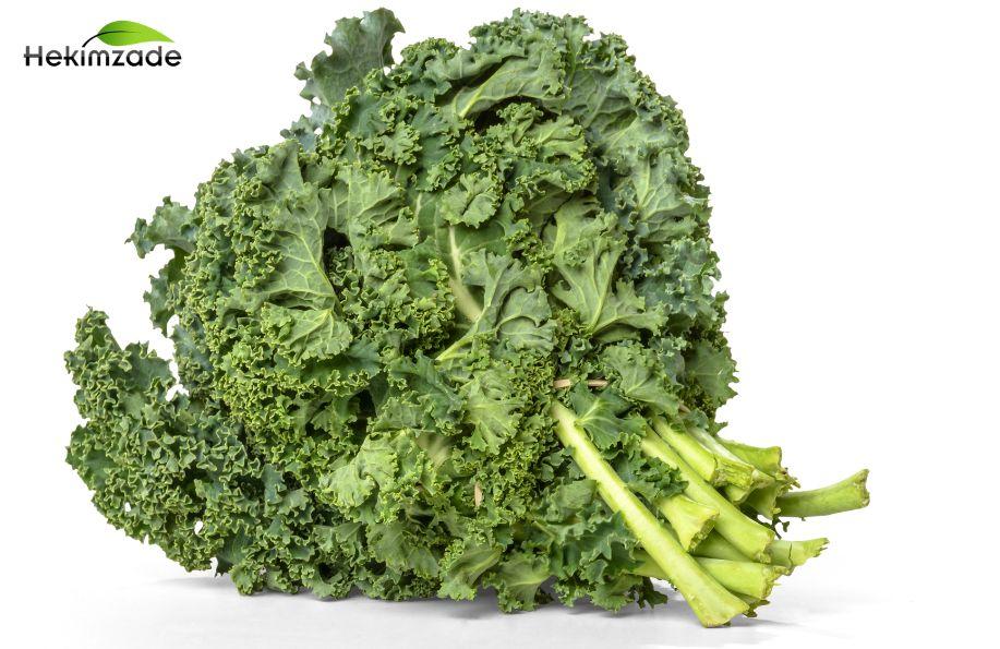 Kale Bitkisi Rehberi - Kale Bitkisi Nedir? Kullanımı ve Faydaları